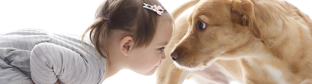 Utilizing your Dog in Pediatric Therapy